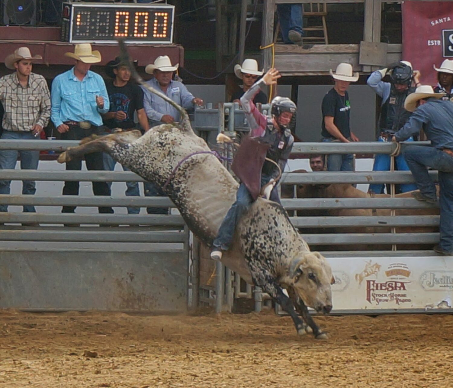 Hooked On An 8 Second Ride | TEXAZTASTE