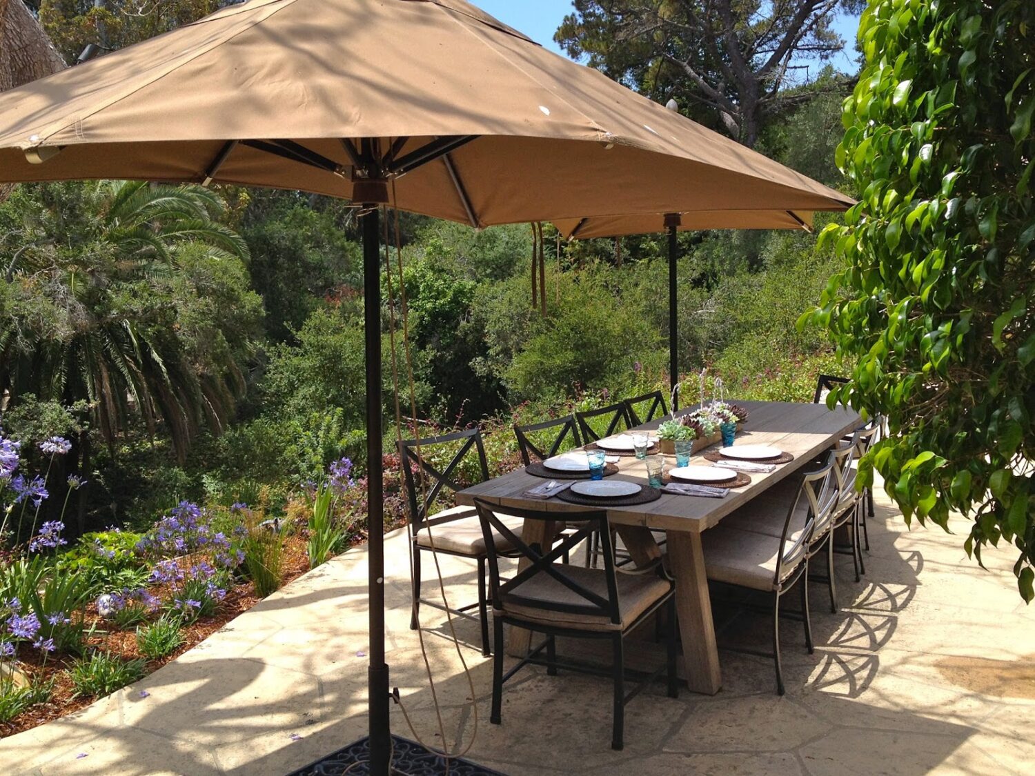 Summer Teaser | TEXAZTASTE