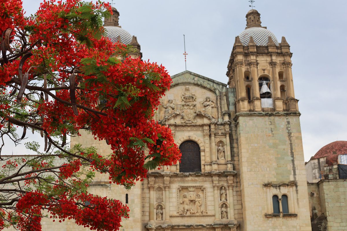 Ultimate Guide to Oaxaca: Where to Sip, Savor, Sleep, and Shop